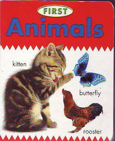 First Animals: Hinkler: Amazon.com: Books
