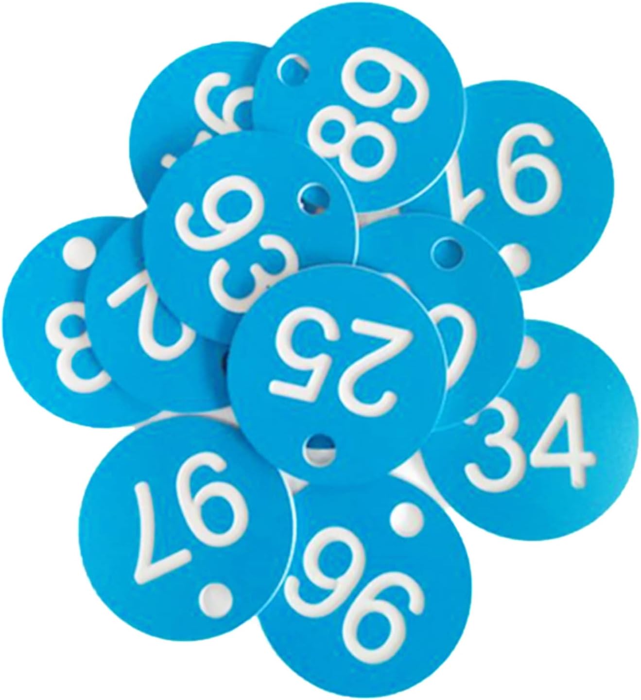 1-100 Number Round Number Labels, Plastic ID Number Tags,Supplies ...