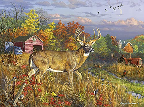 Jigsaw Puzzles Of Deer - Absolutely Stunning Wildlife Deer Puzzles