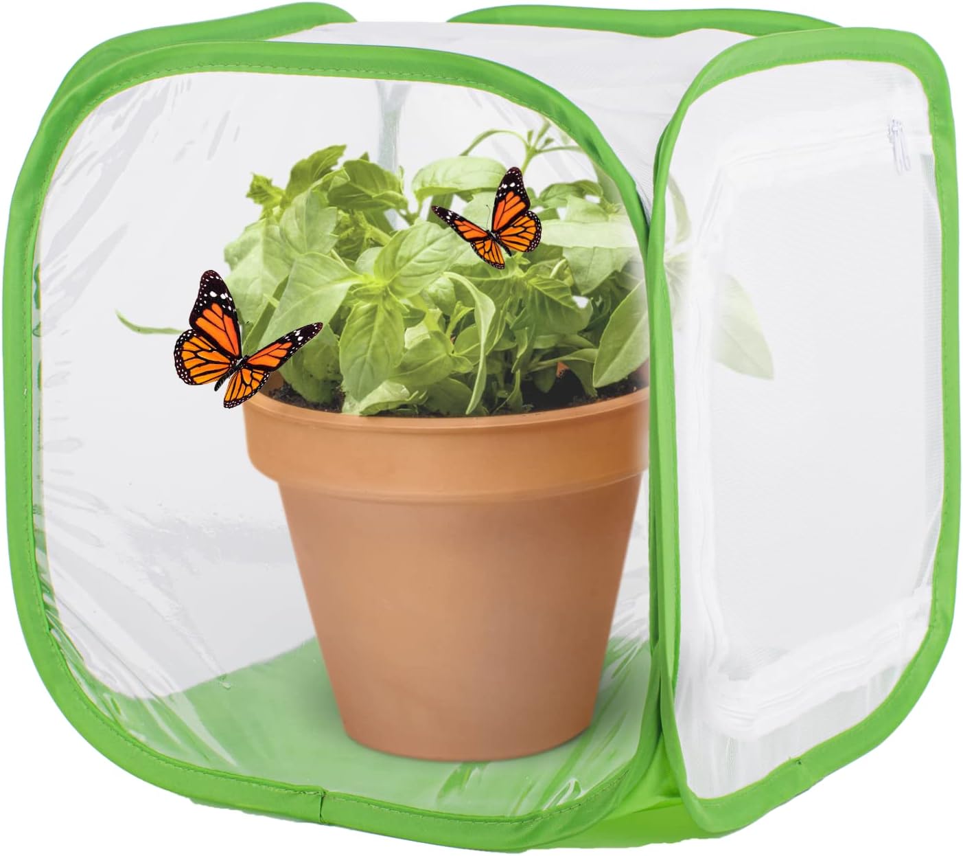 Amazon.com: ZENFUN 2 Packs Insect and Butterfly Habitat Cages, Monarch ...
