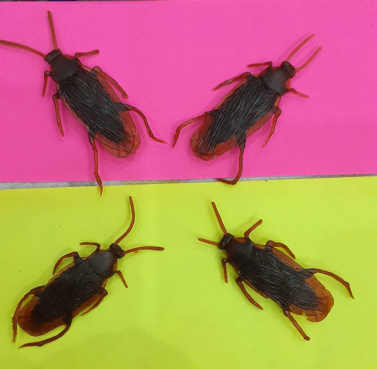 onlinesalescantt Rubber Artificial Cockroach Toy | for Fun, Model ...