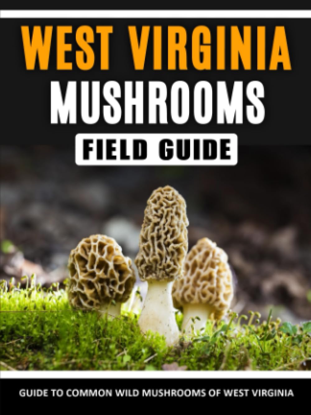 Mushrooms of West Virginia: Identification Field Guide to Common Wild ...
