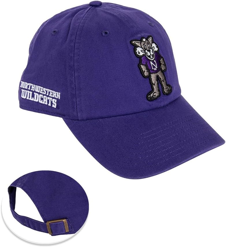 Amazon.com: Desert Cactus Northwestern University Baseball Hat NU ...