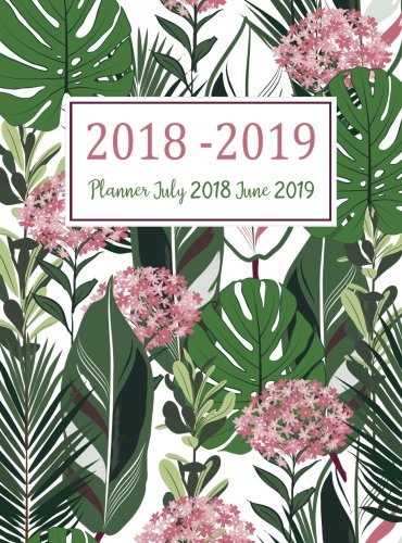 Planner July 2018 June 2019: Two Year - Daily Weekly Monthly Calendar ...