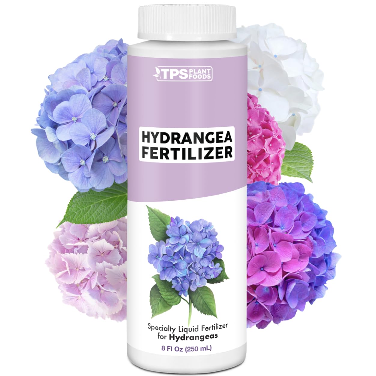 Amazon.com : Hydrangea Fertilizer for Acid Loving Plants, Liquid Plant ...