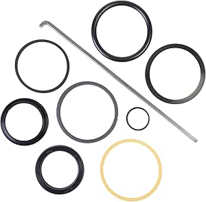 Amazon.com: WOODS OEM 1006373 Genuine Replacement Seal Kit, Compatible ...