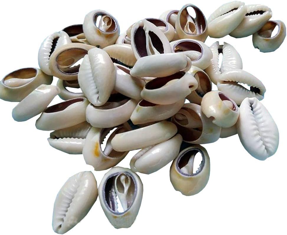 Amazon.com: 100 Pcs White and Lvory Natural Cowrie Shells Beads Oval ...