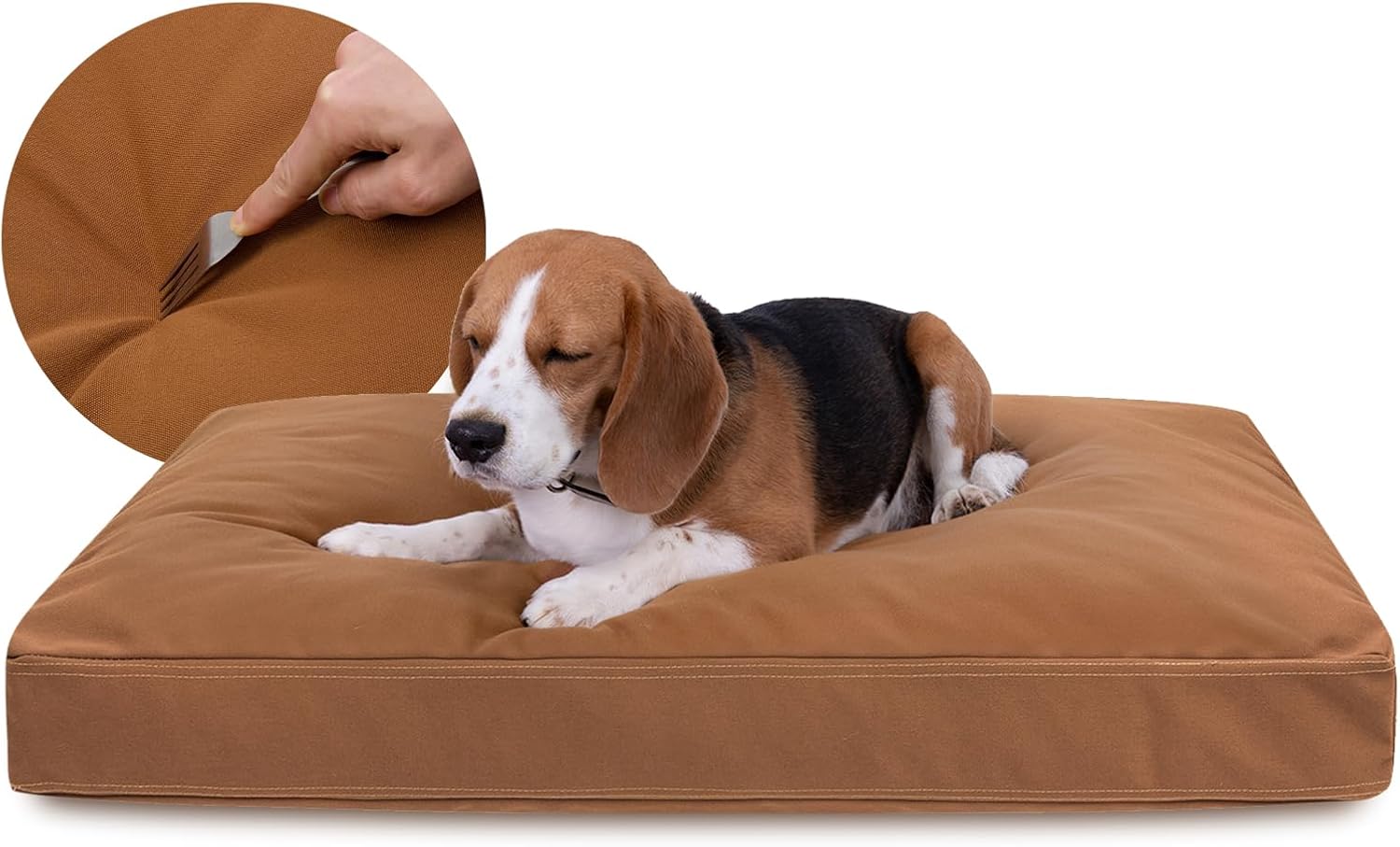 Miguel Canvas Dog Bed Durable Waterproof with Washable Removable Cover ...