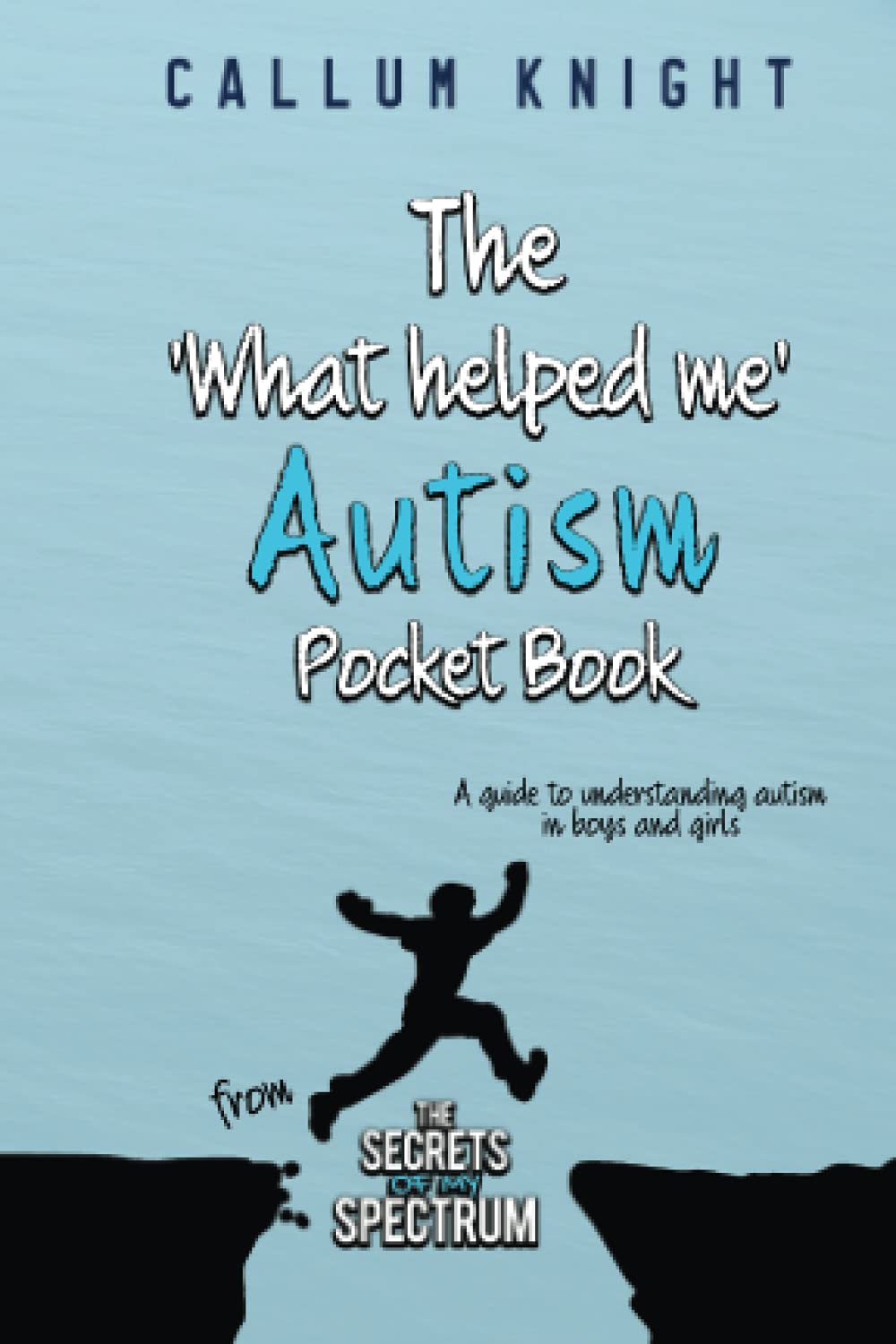 The 'What Helped Me' Autism Pocket Book: A guide to understanding ...