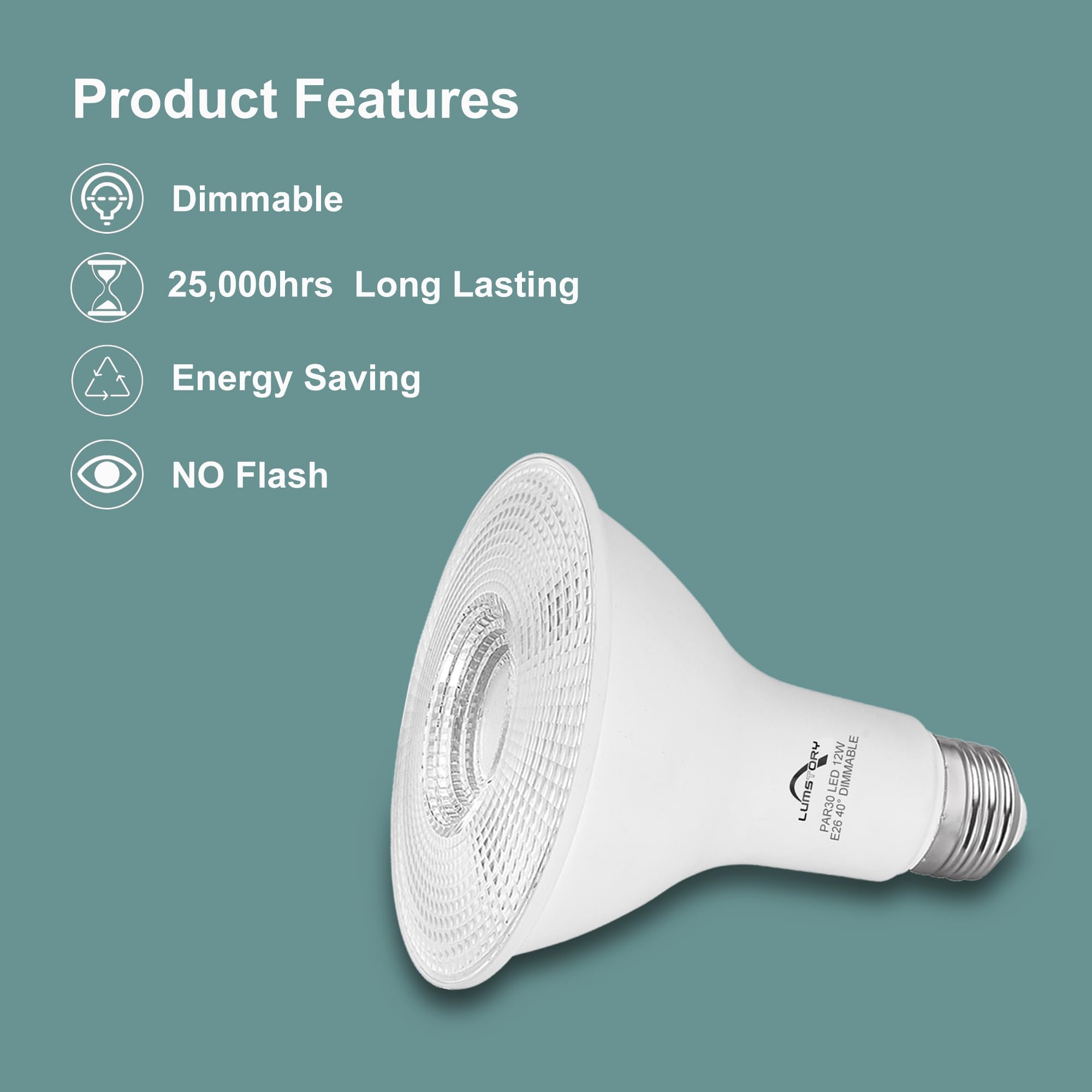 Outdoor Flood Light Bulb Elongated