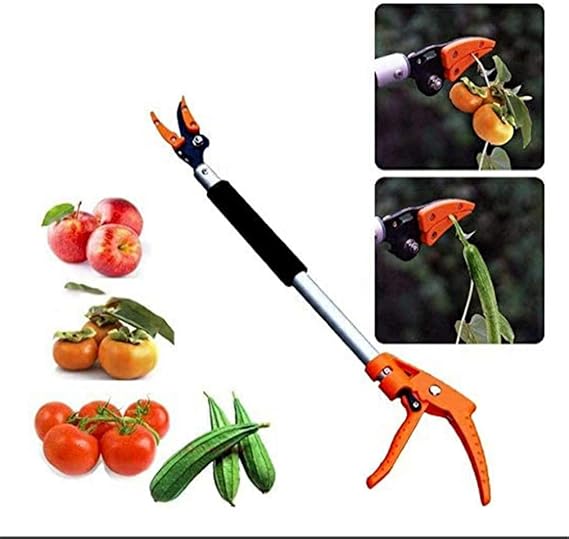 N /A Hold Snapper Long Handle Reach Pruner,Long Handle Fruit Picker ...