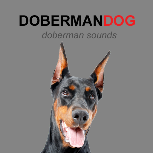 Doberman Dog Sounds and Doberman Dog Barks - Dog Barking Sounds - App ...