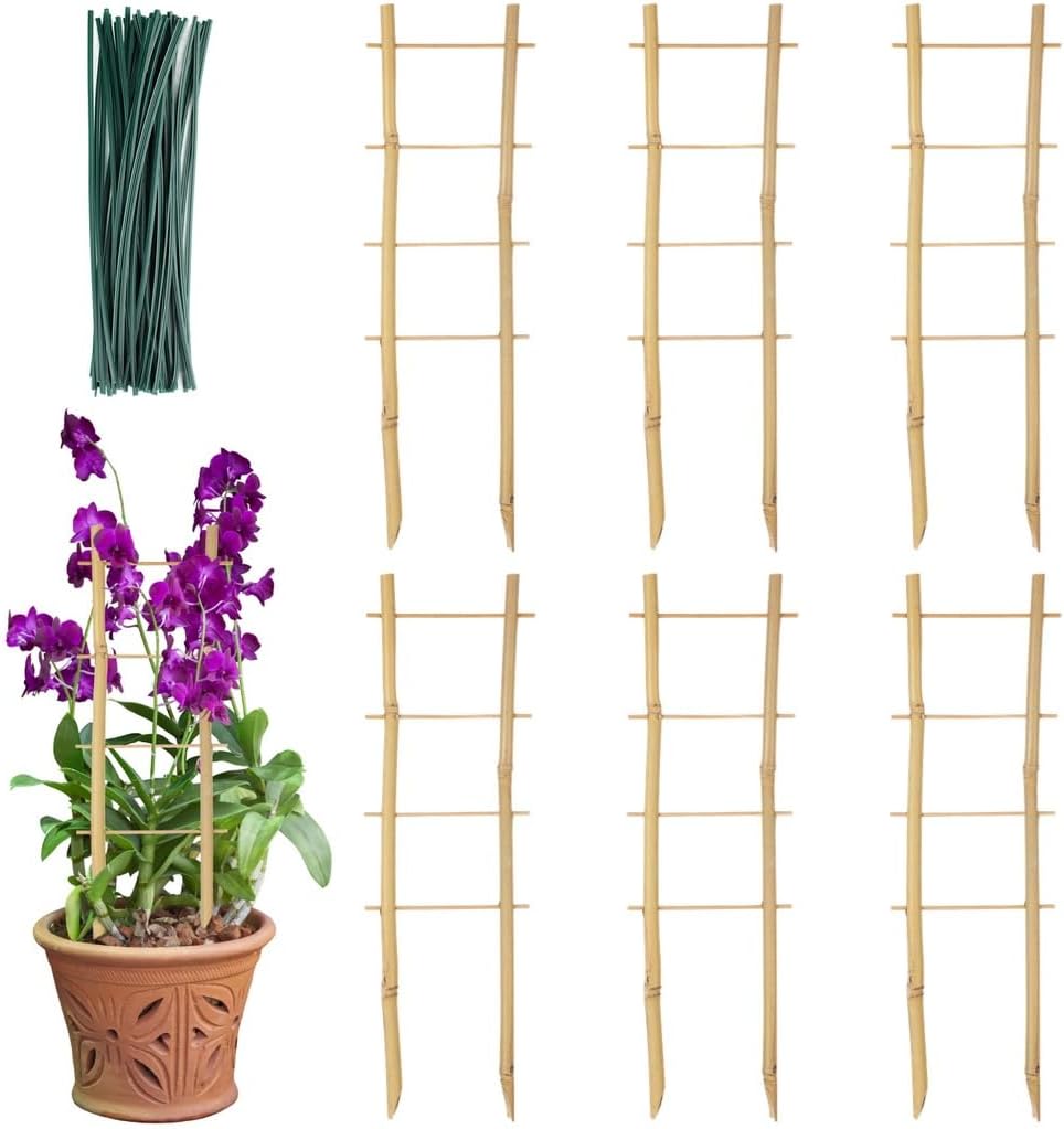 Amazon.com : 6 Pack Natural Bamboo Trellis for Climbing Plants, 17 Inch ...