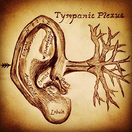 Play Tympanic Plexus by Tympanic Plexus on Amazon Music