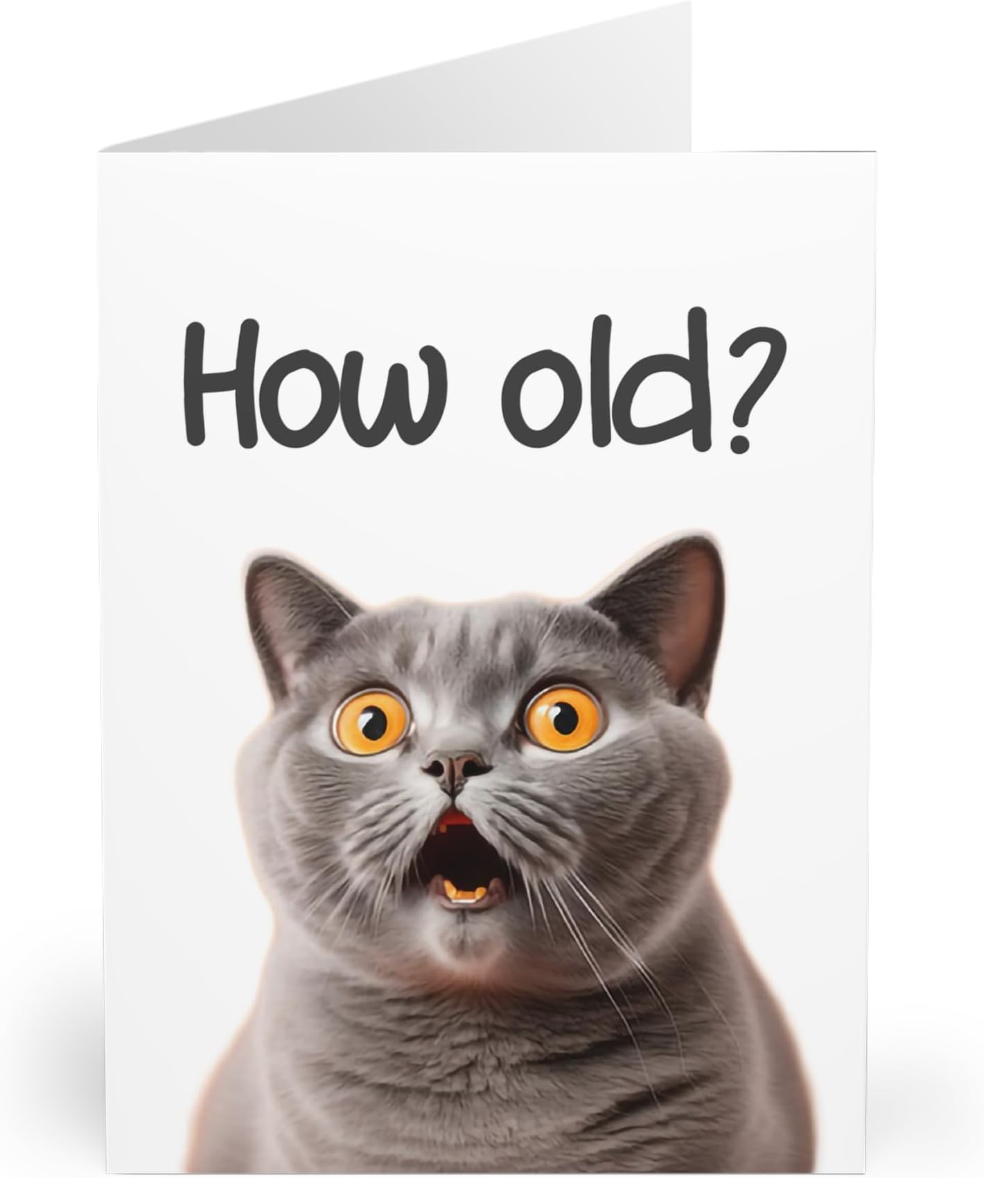 Cat Birthday Card - Humorous 'How Old?' Surprise Party Greeting ...
