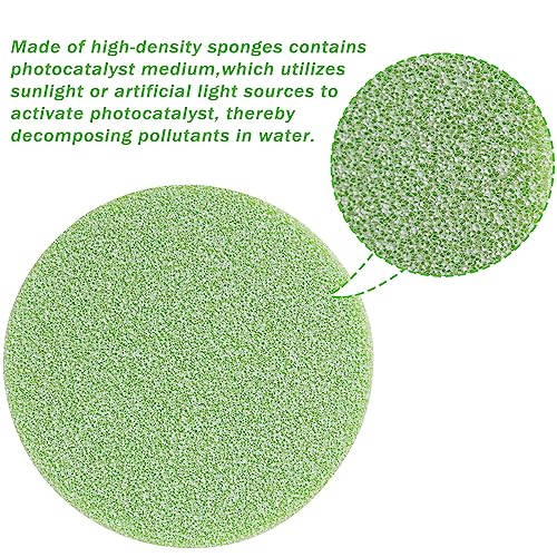 Snapklik.com : FX4 Phosphate Remover Filter Pads Compatible