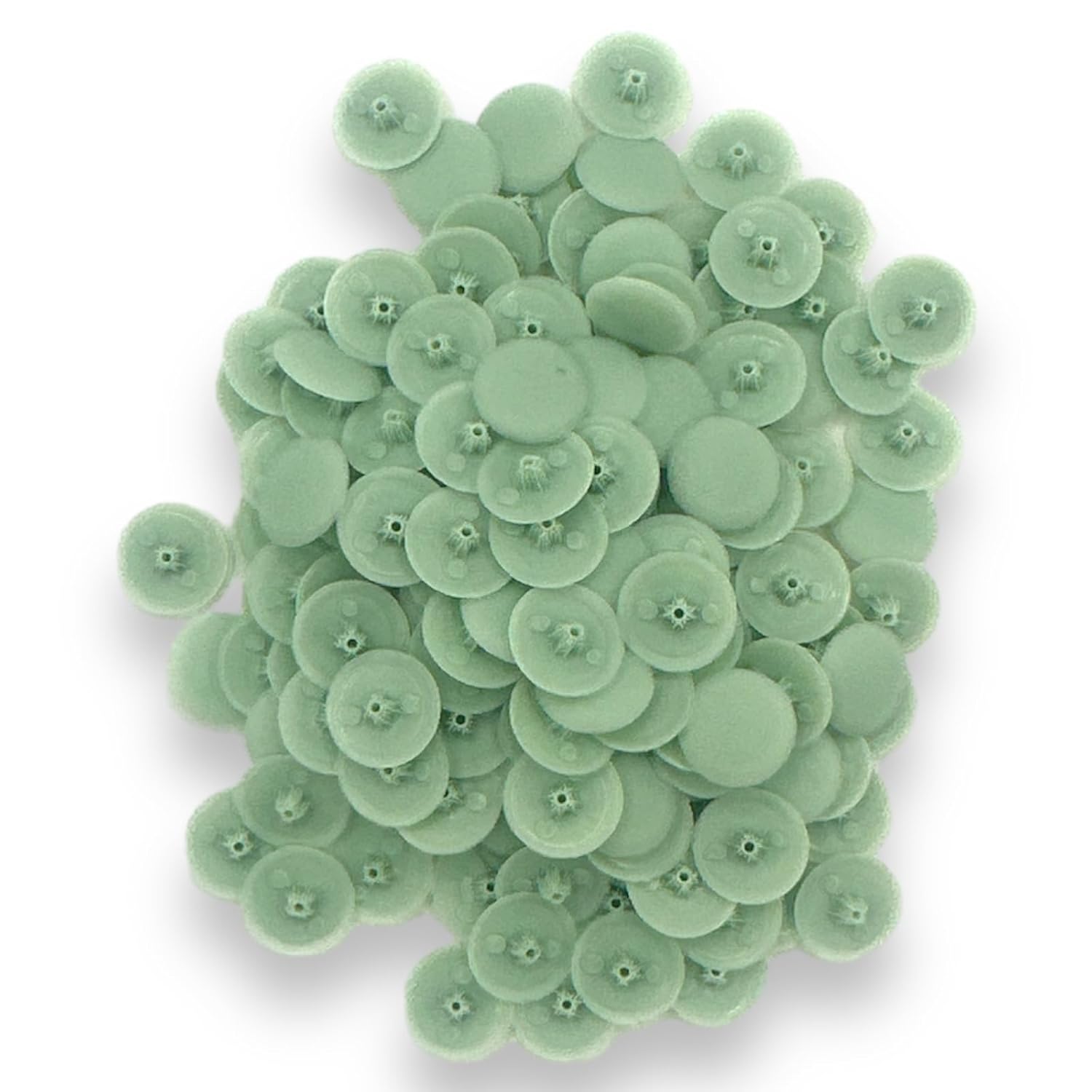Bifix™ PALE SAGE GREEN Screw Pozi Phillips Cover Caps Snap On 6-8g Pz2 ...
