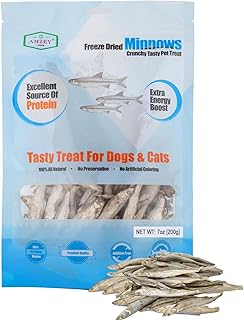 Exploring The Common Minnow Diet: What Do These Tiny Fish Like To Eat ...