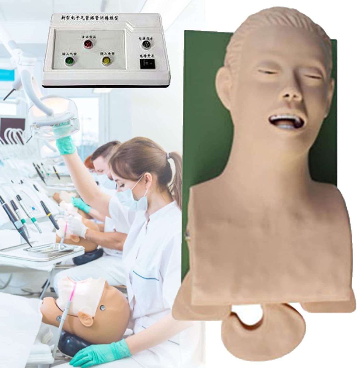 Buy Oral Nasal Intubation Manikin, Training Teaching Model Electronic ...