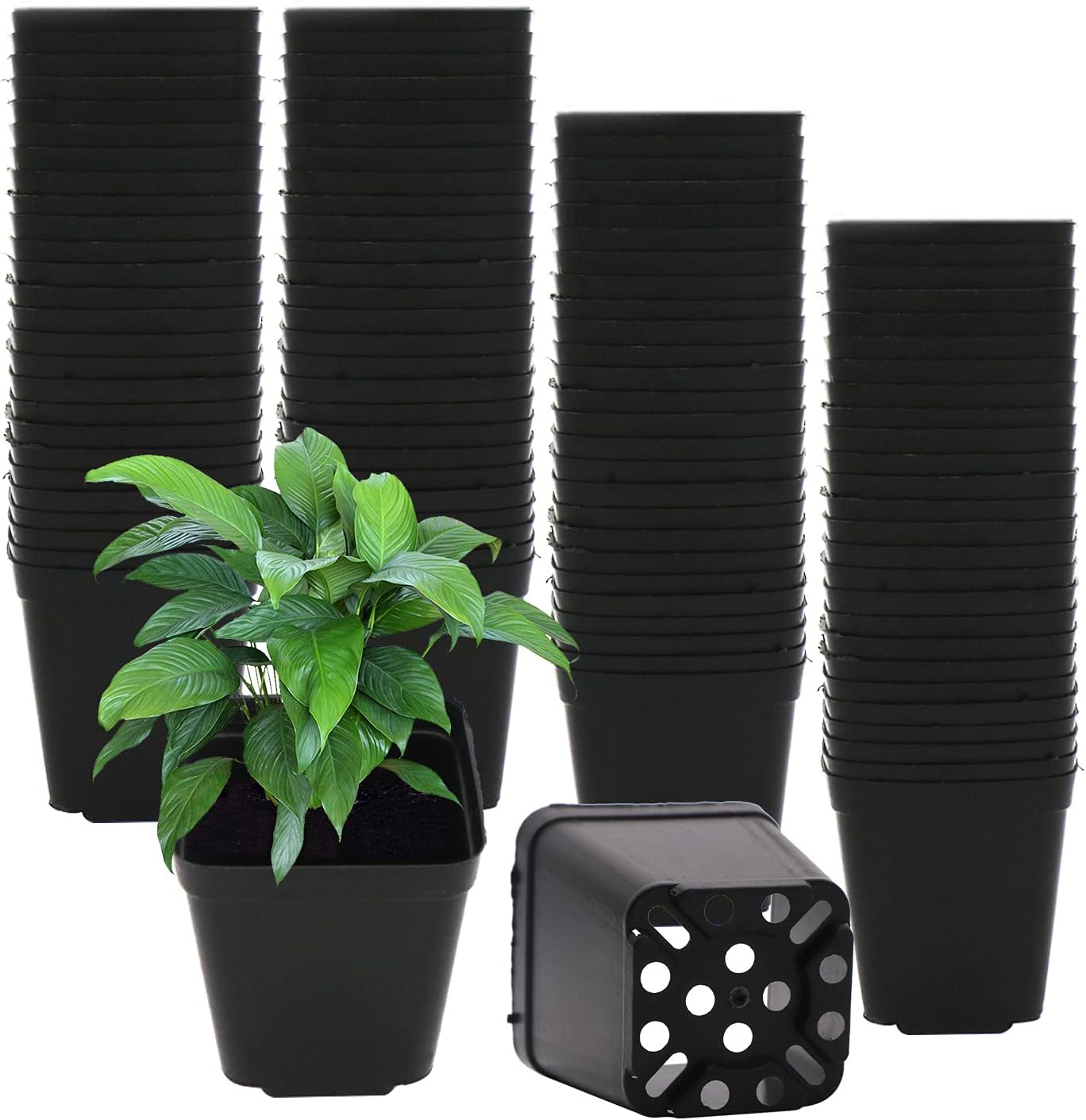 Elixir Gardens ® Square Plant Pot Black Plastic Plant Pots | 9cm x 9cm ...