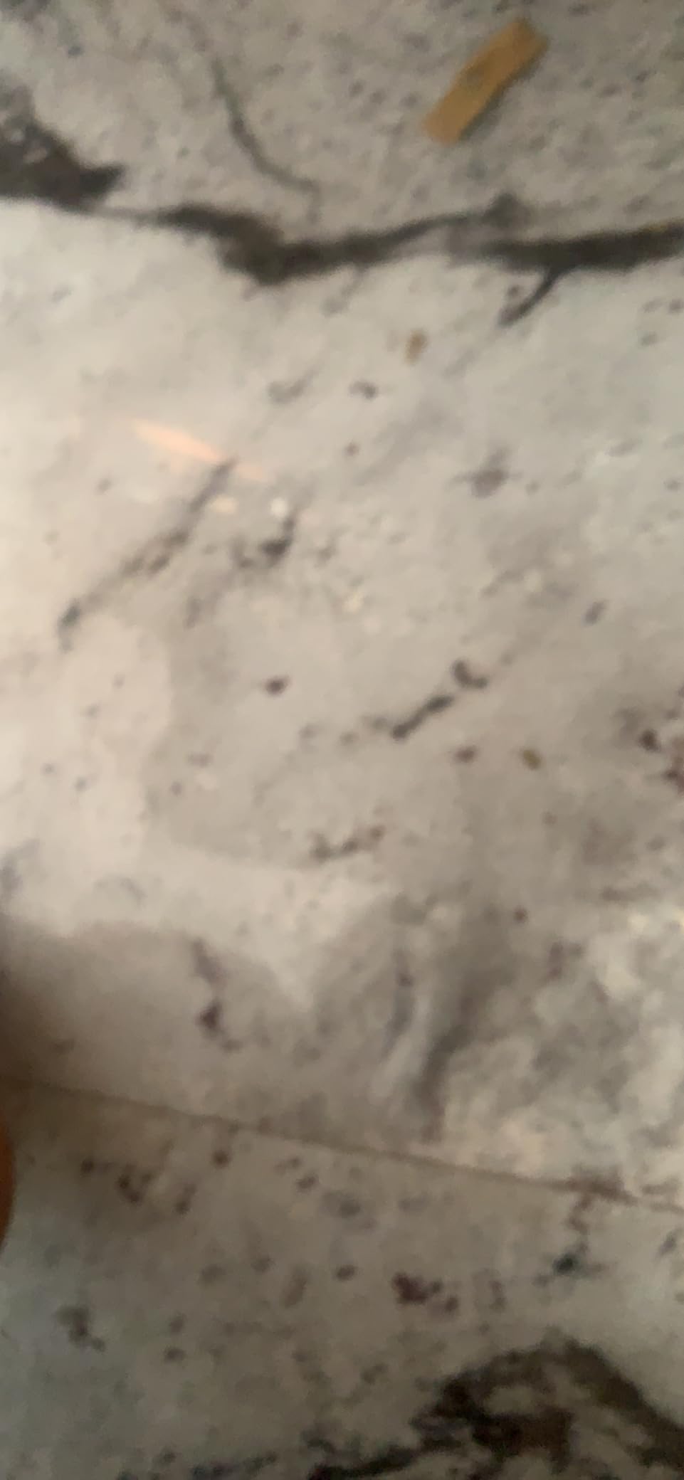 DND Secure Roach Shield Gel - Anti Cockroach Gel | Roach Repellent ...