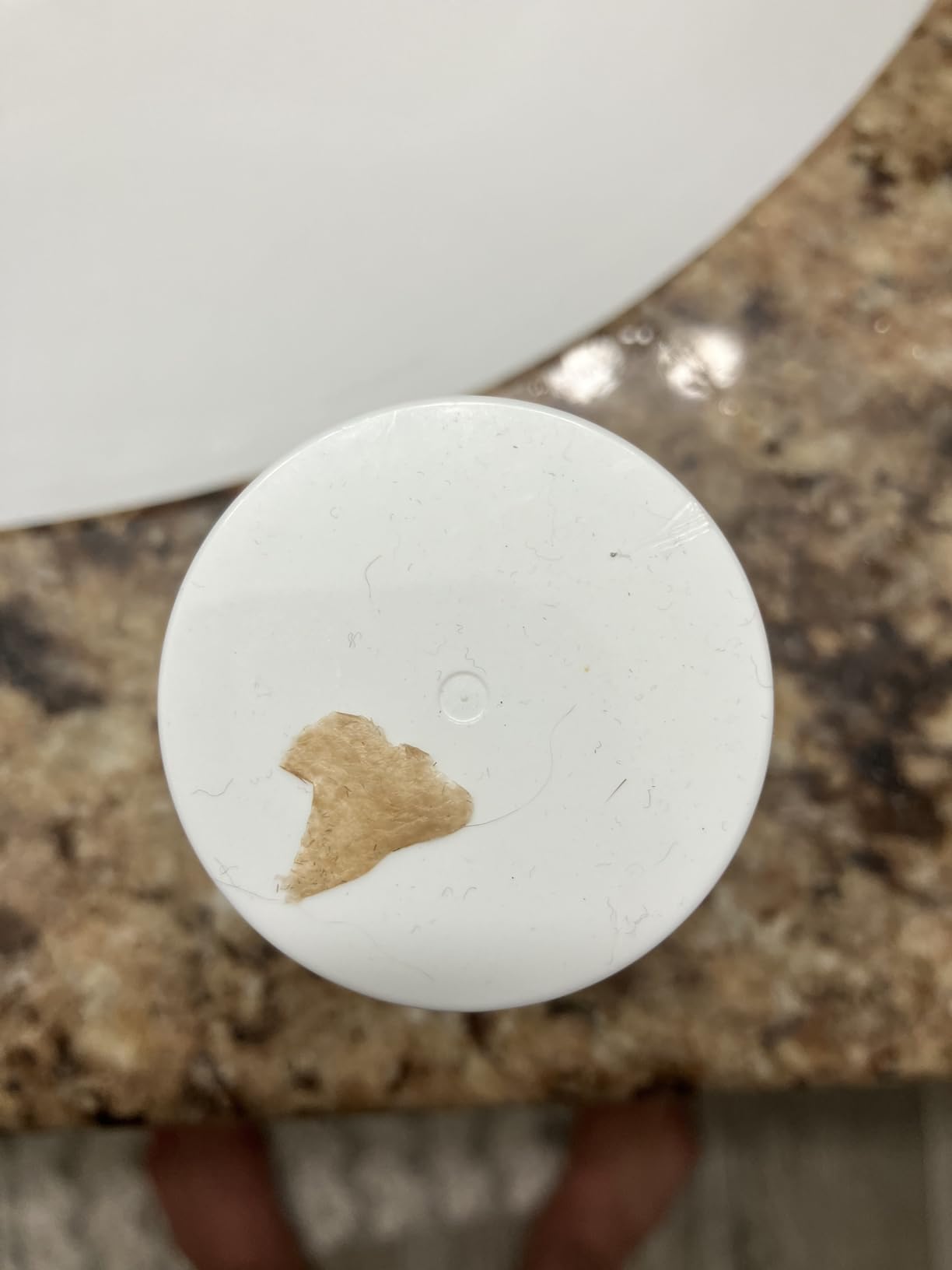 Amazon.com: GoodFellow & Co 5 Blade Razor Handle with 2 cartridges + (4 ...