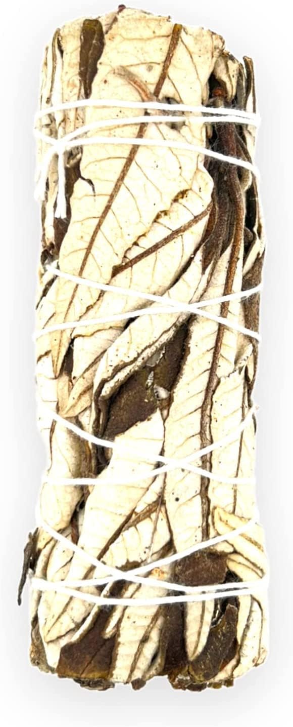 Amazon.com: Yerbero - 1 Premium 4'' White Sage Smudging Sticks ...