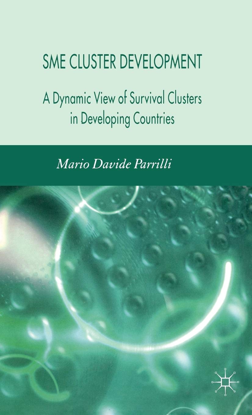 SME Cluster Development: A Dynamic View of Survival Clusters in ...