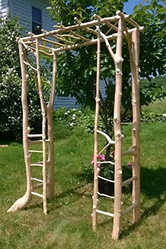 Amazon.com: Natural Rustic Peeled Garden Maple Arbor : Handmade Products