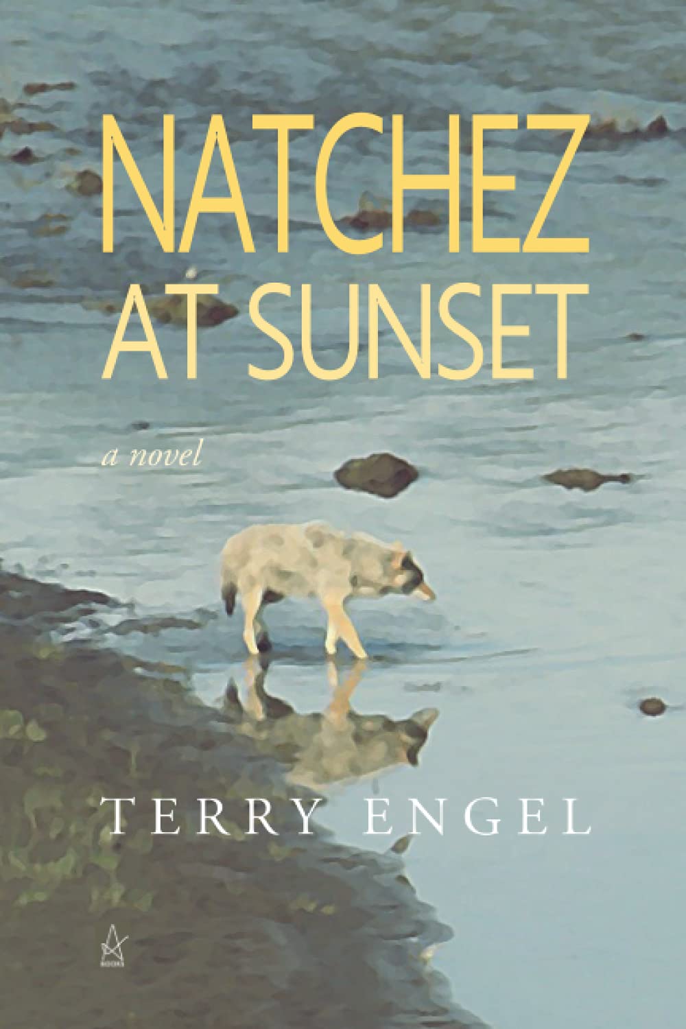 Natchez at Sunset: A novel: Engel, Terry: 9781955196536: Amazon.com: Books