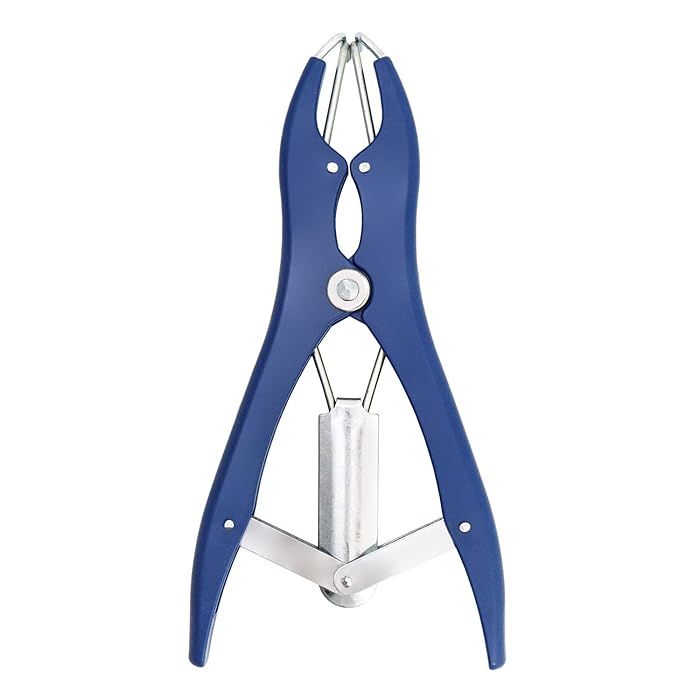 Buy QWORK Balloon Stretcher Tool , Bander for Cattle, Pig Cattle Sheep ...