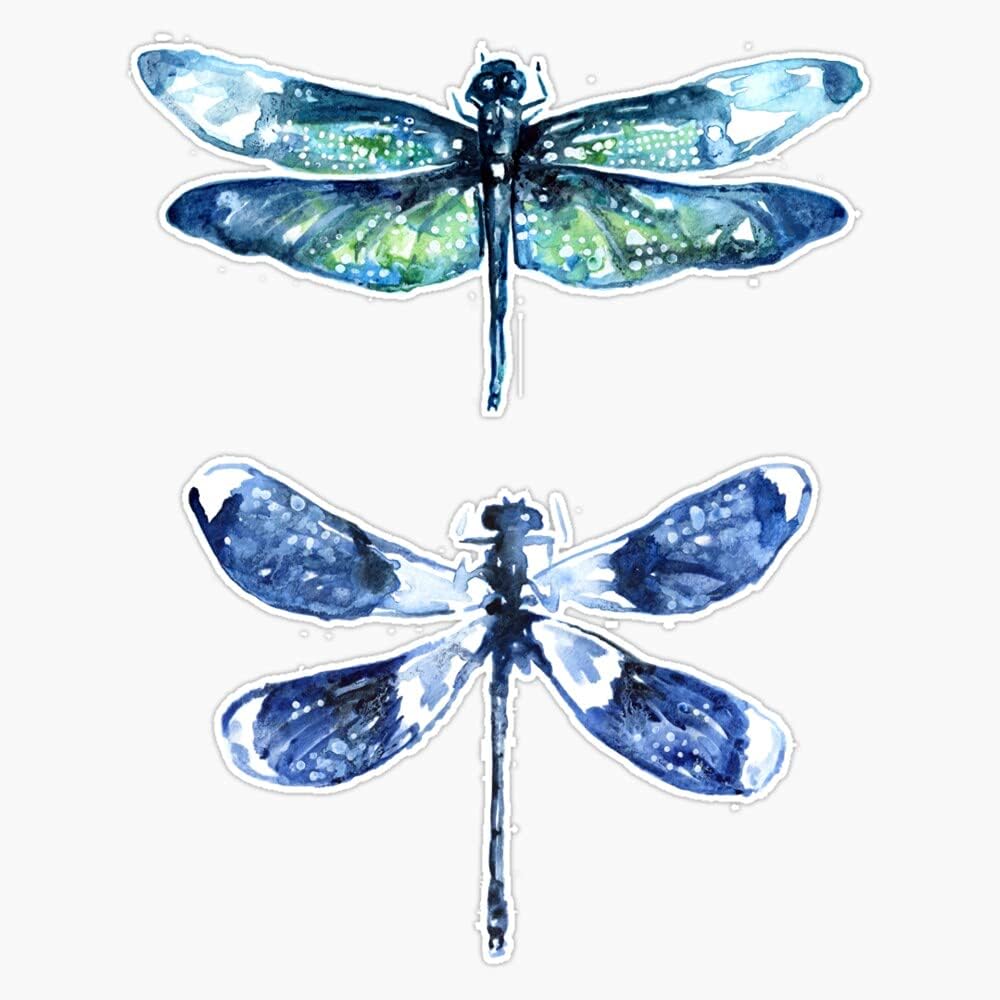 Amazon.com: Dragonfly Insect - Vinyl Decal Sticker - 3.75" x 4.25 ...