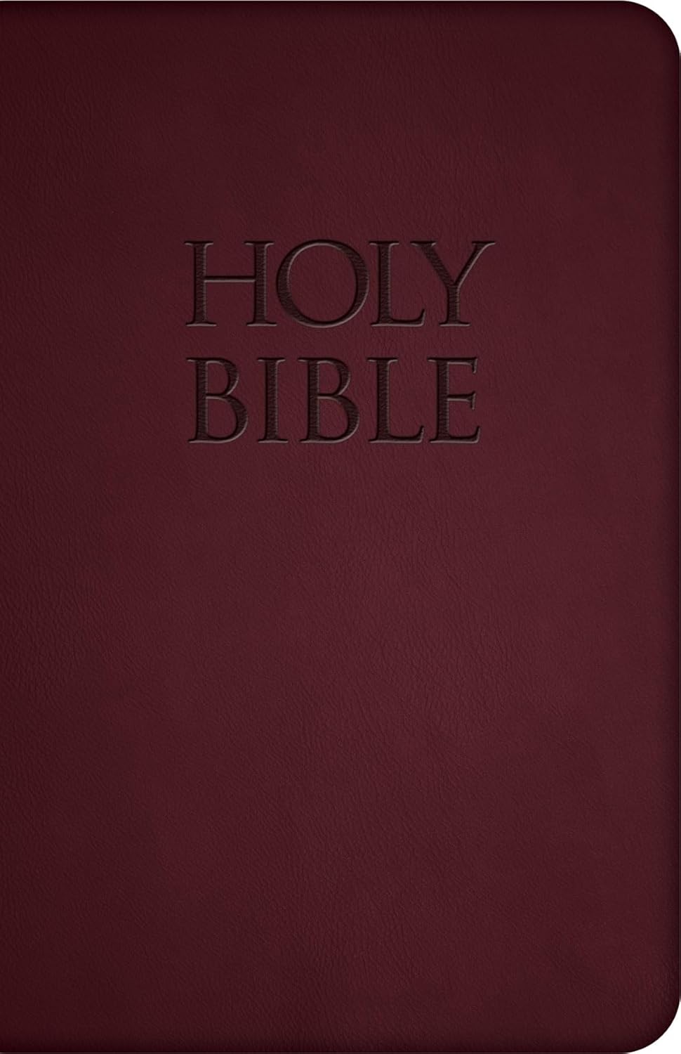 NABRE - New American Bible Revised Edition (Red Premium Ultrasoft ...