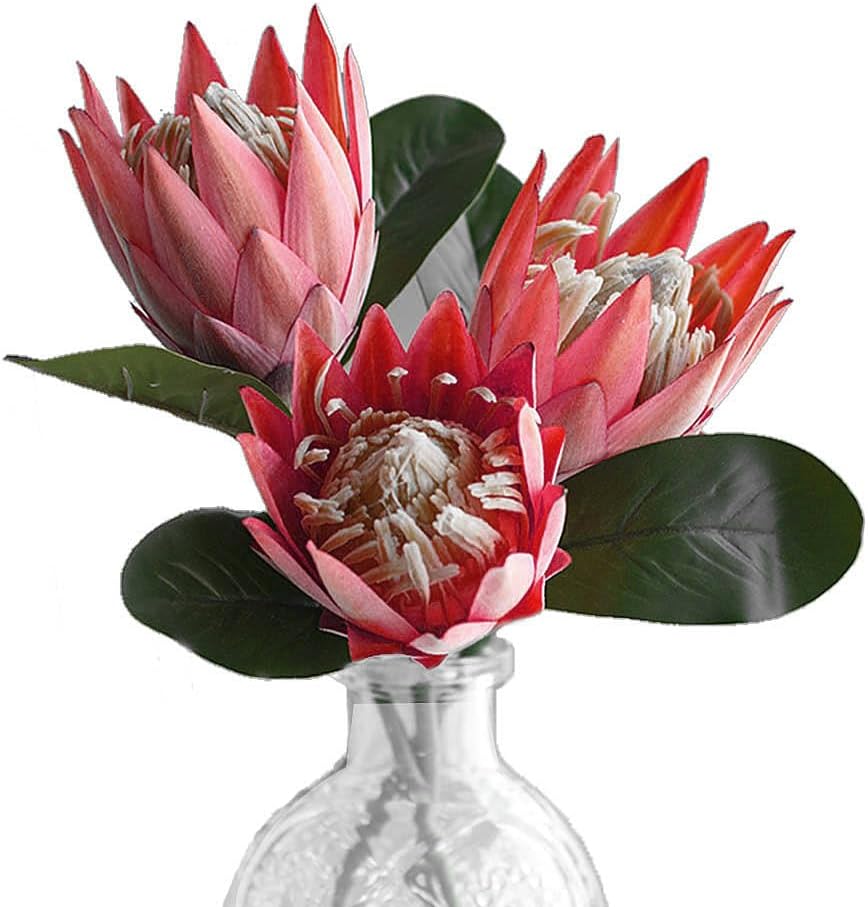 Amazon.com: Lovmeety 3 Pcs Artificial Protea Flowers, Real Touch Faux ...