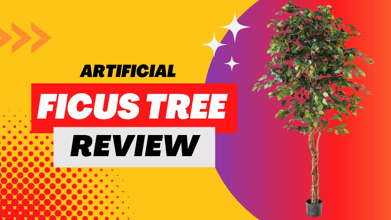 Watch Artificial Ficus Tree Review on Amazon Live