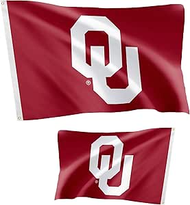 Amazon.com : Desert Cactus University of Oklahoma Flag Double Sided ...