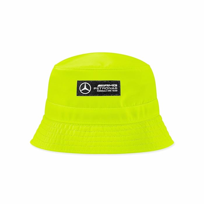 Buy Mercedes-AMG Petronas Formula One Team Special Edition Lewis ...