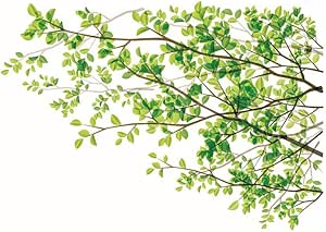 Frosted Cling Screen Translucent Glass Window Film Sticker for Bathroom ...