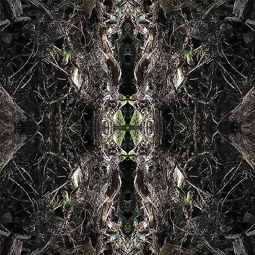 Écouter Unfathomable Scale de Synchromute sur Amazon Music Unlimited