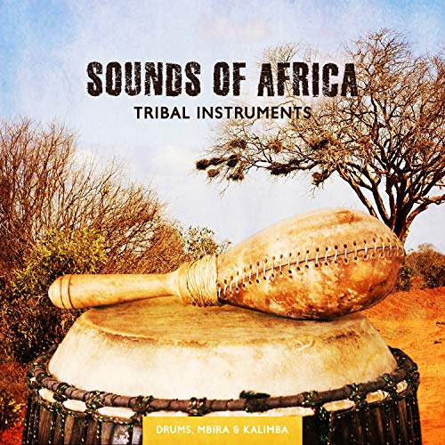 Amazon.com: Harmonics of Africa : Temba Rise: Digital Music