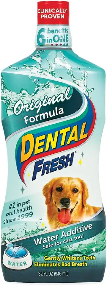 Dangers Of Fluoride For Dogs: What Owners Need To Know | PetShun