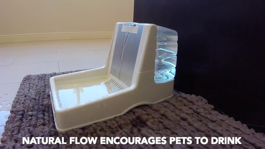 Watch Petmate Fresh Flow II Fountain 110Oz on Amazon Live