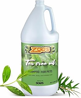 Tea Tree Oil And Cats: What You Need To Know | PetShun