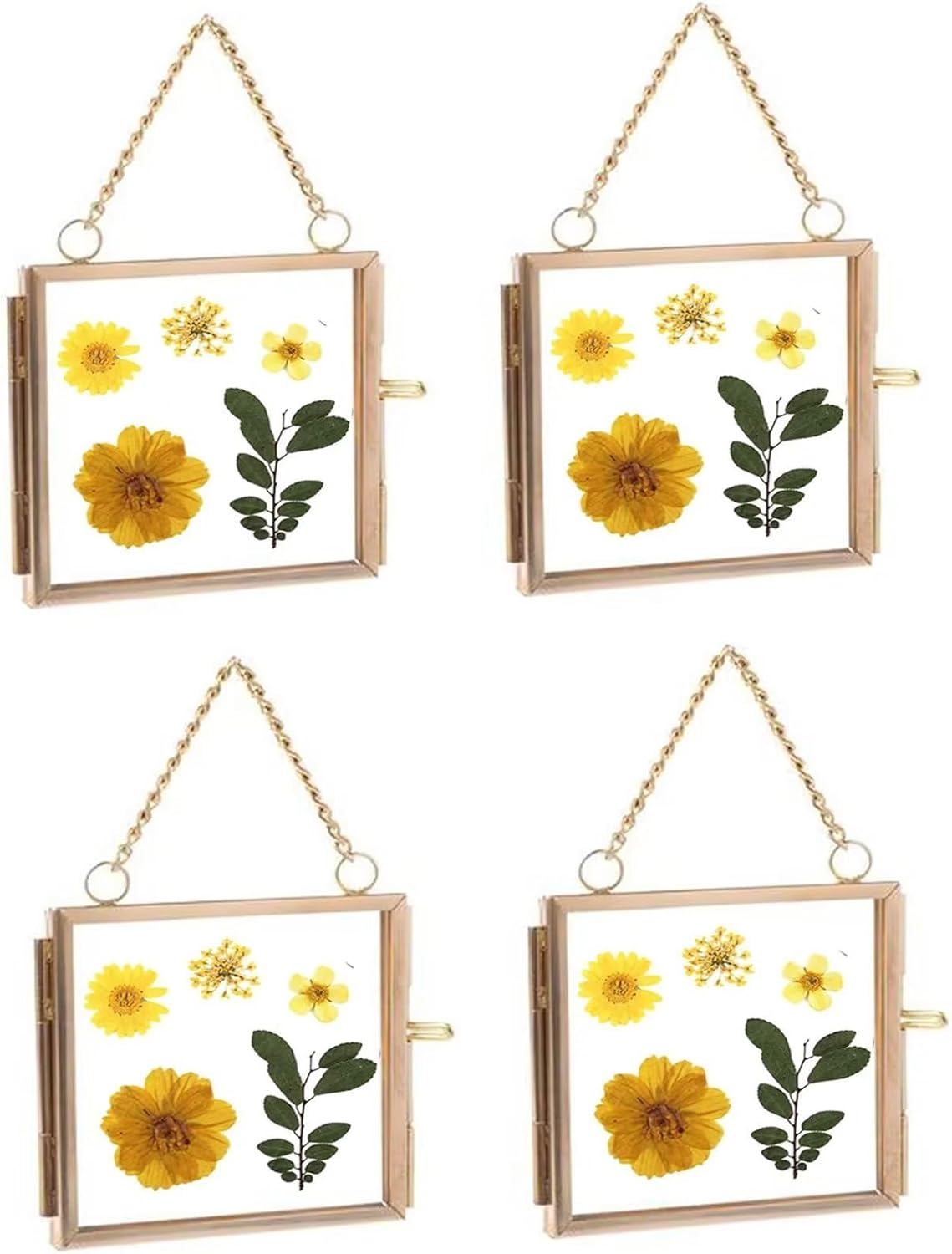 Amazon.com - Typutomi 4PCS Mini Glass Frame for Pressed Flowers, Brass ...