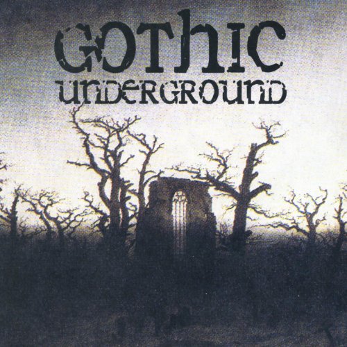 Amazon.com: Gothic Underground : VARIOUS ARTISTS: Digital Music