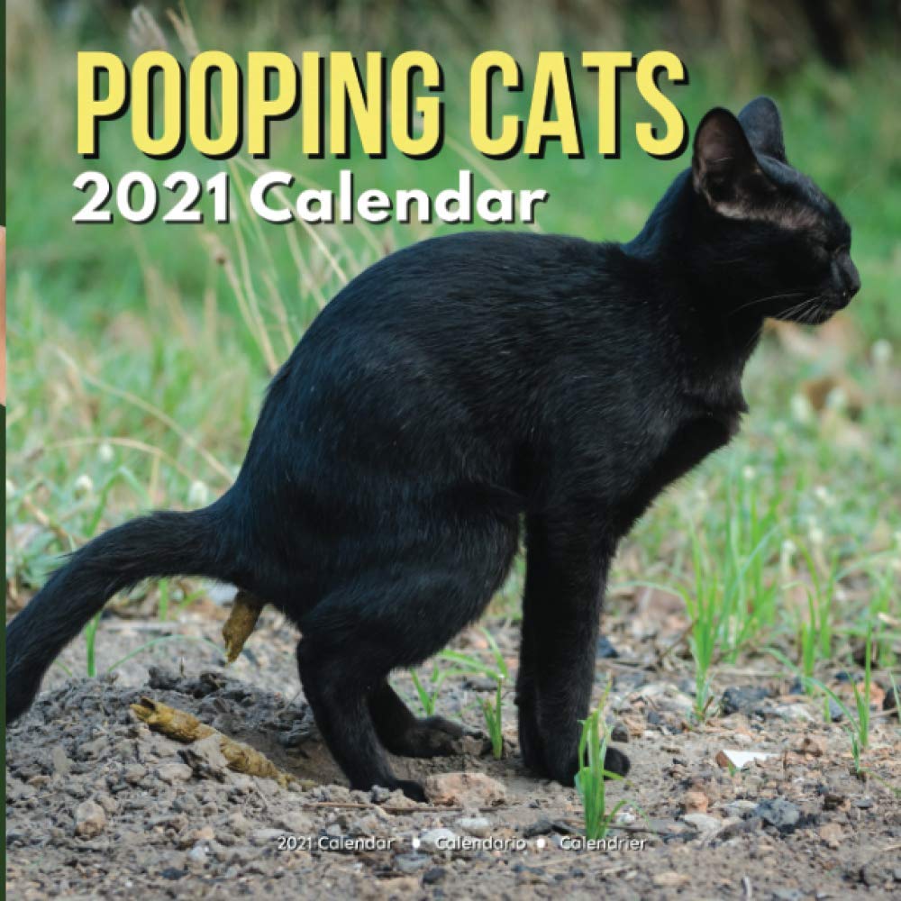 Pooping Cats 2021 Calendar: Funny Animal Gag Joke Presents for Men Kids ...