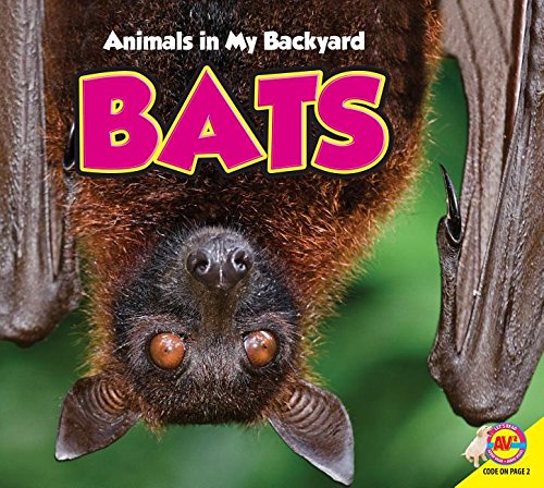Bats (Animals in My Backyard): Carr, Aaron: 9781489605405: Amazon.com ...
