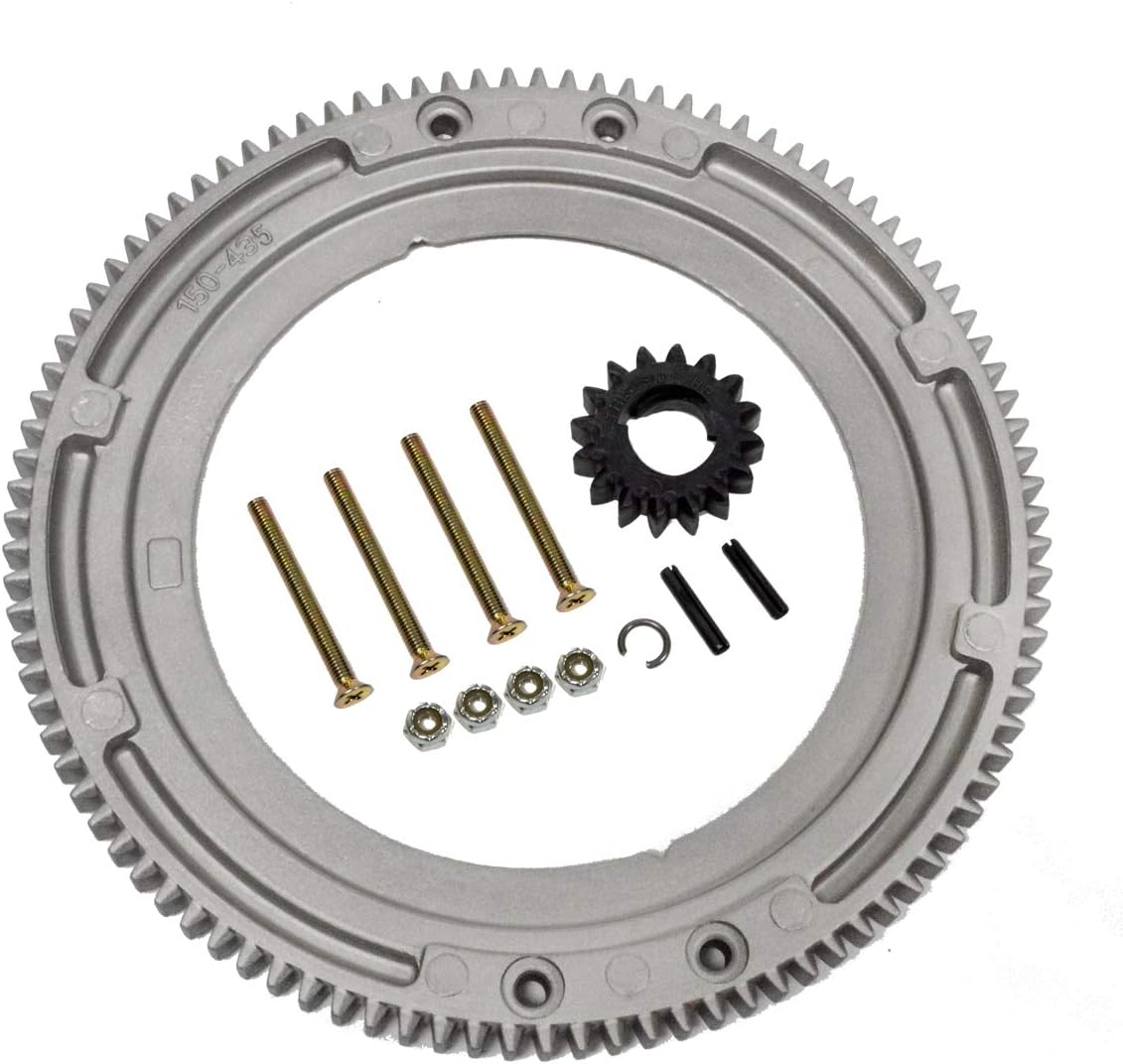 Amazon.com : EPR Flywheel Ring Gear Kit Replacement for Briggs ...