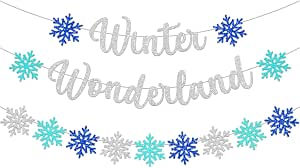 Amazon.com: 3 Pcs Winter Wonderland Banner Glittery Blue Silver ...