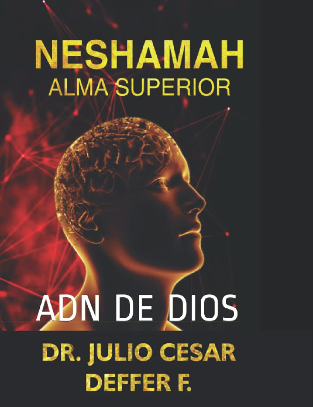 NESHAMAH ALMA SUPERIOR: ADN DE DIOS PERSPECTIVA HEBREA VOL 2 (Spanish ...